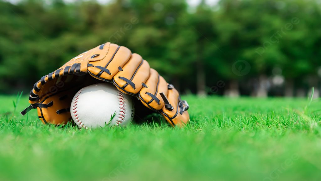 Most Expensive Baseball Glove: Elevated Elegance