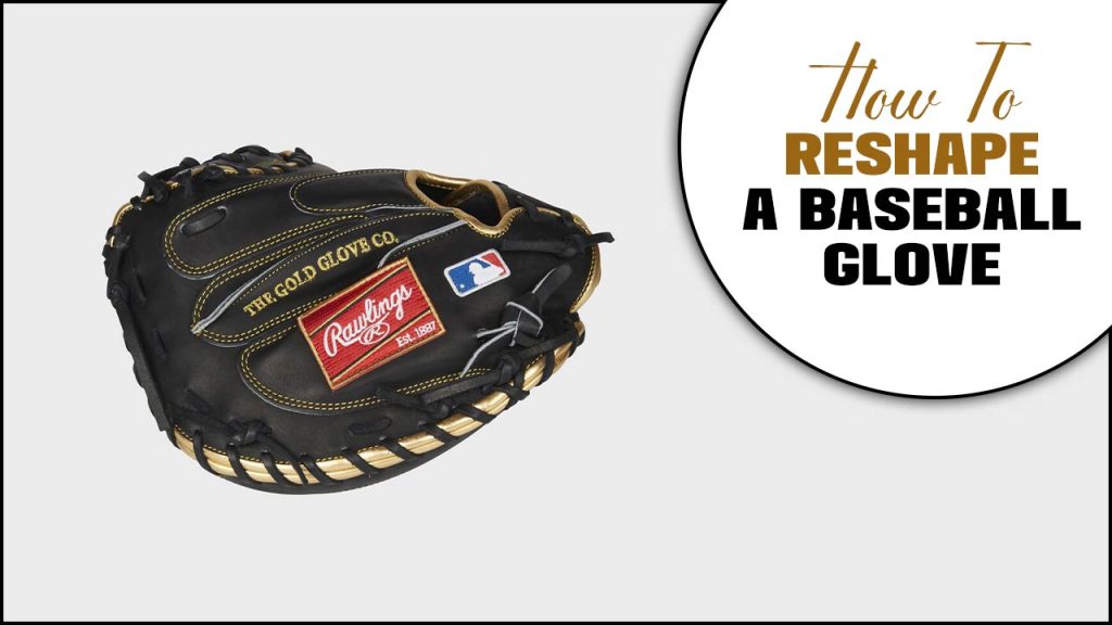 Baseball Glove Web Types - Uncover The Ultimate Guide