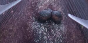 Create A Bat File For Powershell: Easy Step-By-Step Guide - FriskMode